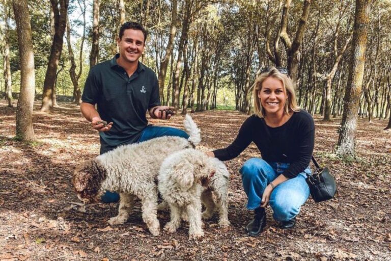 San Gimignano: Truffle Hunting with Lunch & Wine Tasting - A Deep Dive into the Experience