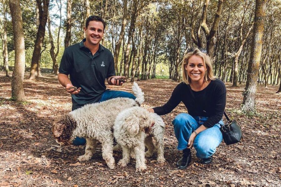 San Gimignano: Truffle Hunting with Lunch & Wine Tasting - A Deep Dive into the Experience