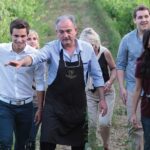 San Gimignano: Vineyard Walk with Wine Tasting in winery - Detailed Review
