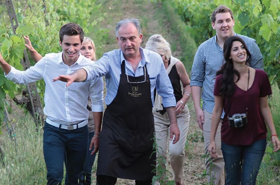 San Gimignano: Vineyard Walk with Wine Tasting in winery - Detailed Review