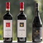 San Gimignano: Wine Tasting Experience at Il Colombaio - The Setting and the Hosts