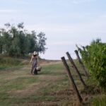 San Gimignano: Wine Tasting with Aperitivo in the Vineyard - The Process and Education
