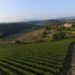 San Gregorio Tasting - The Value of the San Gregorio Experience