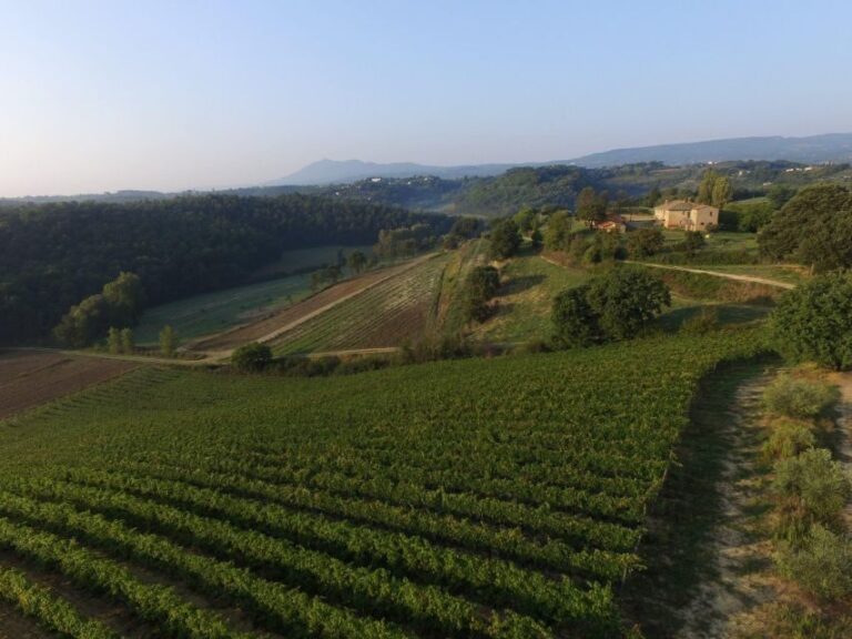 San Gregorio Tasting - The Value of the San Gregorio Experience