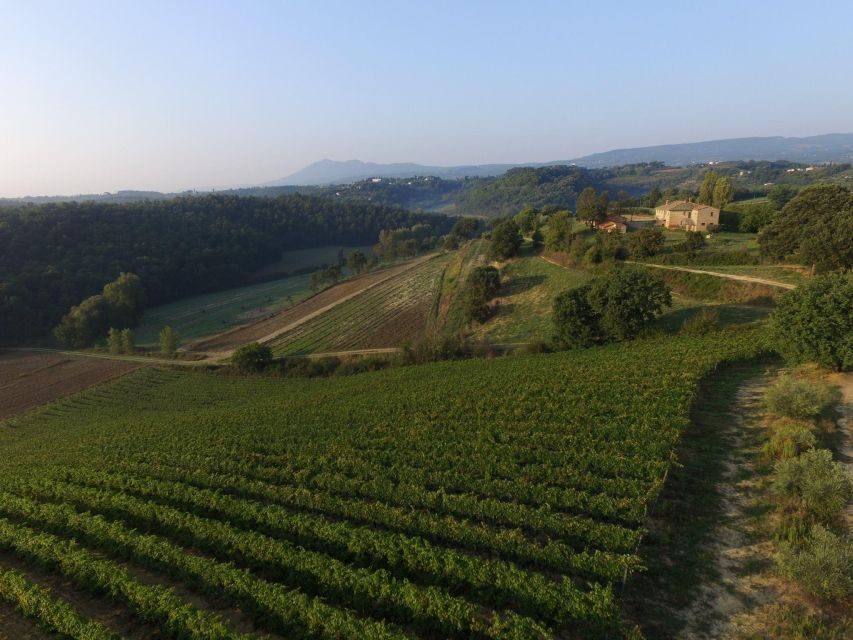 San Gregorio Tasting - The Value of the San Gregorio Experience