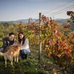 San Mango sul Calore: Wine Tasting Experience - Why the Experience Works
