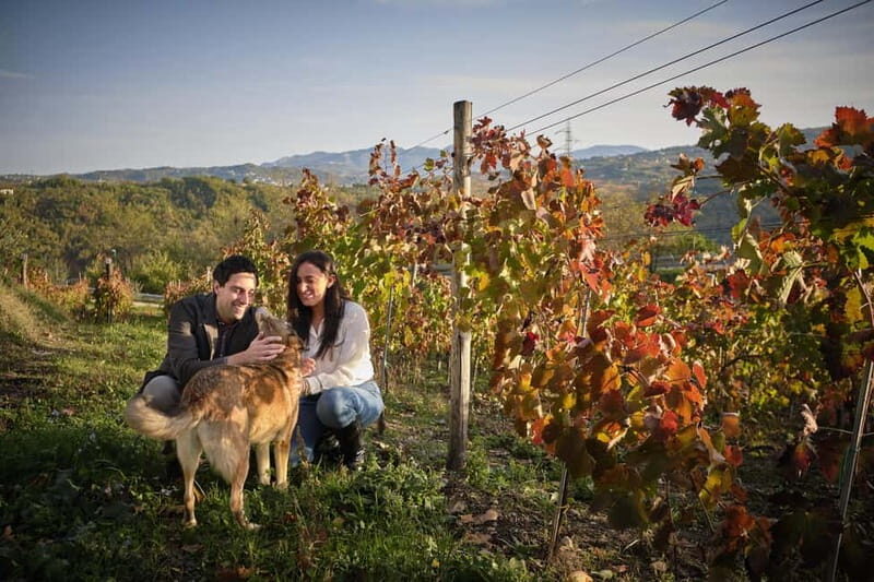 San Mango sul Calore: Wine Tasting Experience - Why the Experience Works