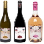 San Miniato: Organic Wine and Olive Oil Tasting Experience - Who Will Benefit Most?