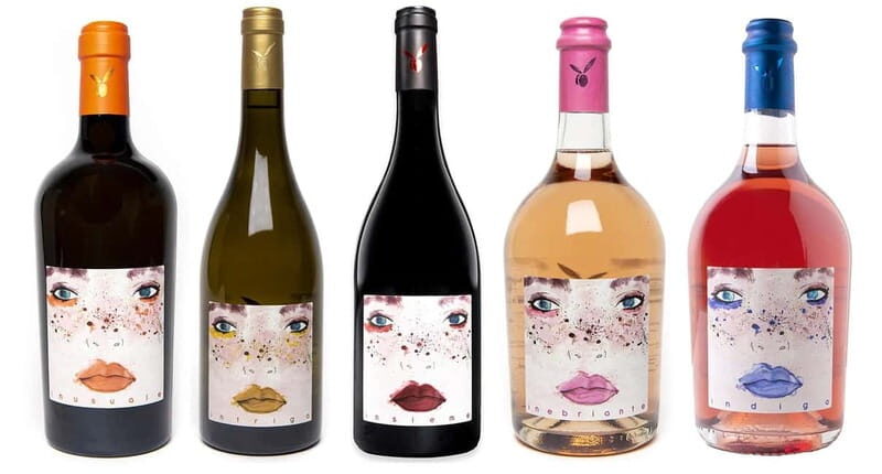 San Miniato: Organic Wine and Olive Oil Tasting Experience - Who Will Benefit Most?