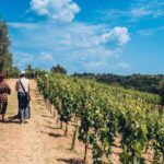 San Miniato: Wine Tour in a Family-Run Tuscan Winery - The Real-World Experience: What Travelers Say