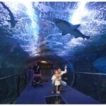 San Sebastian Aquarium Entry Ticket and City Walking Tour - Why This Tour Offers Great Value
