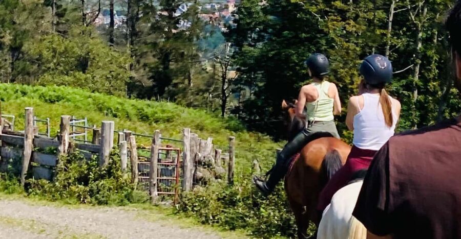 San Sebastian: Horseback Riding & Traditional Delights - An In-Depth Look at the Itinerary