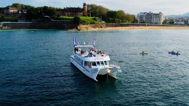 San Sebastian: Panoramic Catamaran Tour of the Bay and Coast - Who Should Consider This Tour?