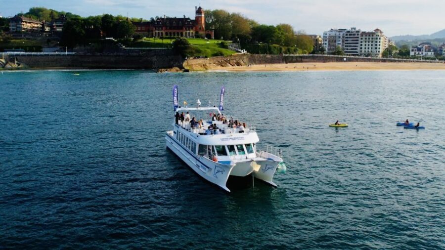 San Sebastian: Panoramic Catamaran Tour of the Bay and Coast - Who Should Consider This Tour?