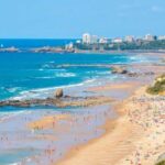 San Sebastián:Discover the Best of Basque and French Culture - What Travelers Can Expect at Each Stop