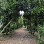 San Simón Island Excursion - The Experience’s Value