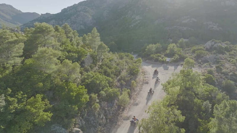 San Teodoro: Quad Tour with Tasting & Natural Pools - The Value of the Tour