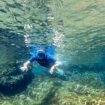 San Terenzo: Portovenere Natural Park Snorkeling Trip - What to Expect on the Trip