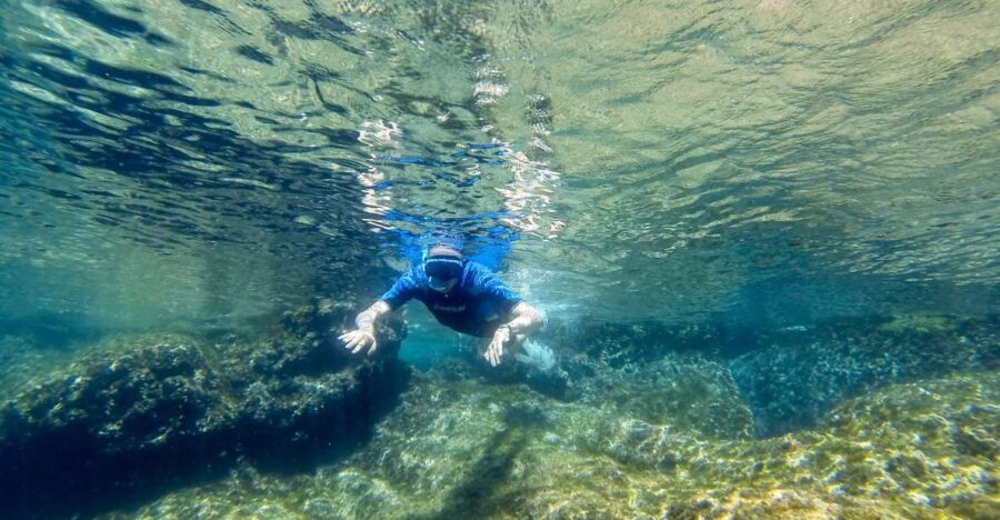 San Terenzo: Portovenere Natural Park Snorkeling Trip - What to Expect on the Trip