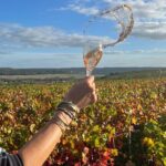Sancerre Private Wine Tour with 10 Tastings and Lunch from Paris - Transportation and Practical Details