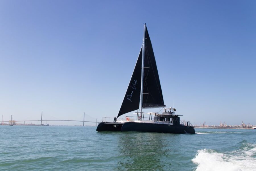 Sancti Petri: Catamaran Cruise with Swim Stop and lunch - What to Expect at Each Stage of the Trip