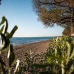 Sandy Shores Shuttle: Your Gateway to Kourouta Beach - Authentic Experiences and Traveler Insights
