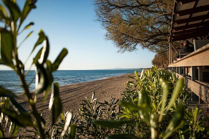 Sandy Shores Shuttle: Your Gateway to Kourouta Beach - Authentic Experiences and Traveler Insights