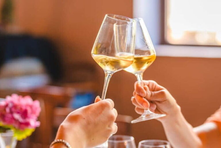 "Santa Chiara" wine tasting - Palagetto winery - What Travelers Say