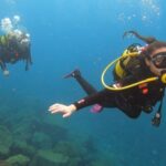 Santa Cruz de Tenerife: Advanced introductory course - Authentic Feedback from Participants