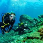 Santa Cruz de Tenerife: Beginner's Diving & Introduction - Summary of the Experience