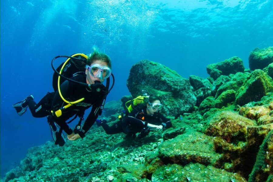 Santa Cruz de Tenerife: Beginner's Diving & Introduction - Summary of the Experience