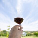 Santa Maria della Versa: Grape Harvest & Wine Tasting Tour - Who is this Tour Best Suited For?