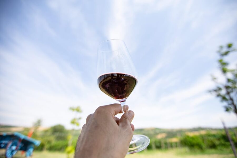 Santa Maria della Versa: Grape Harvest & Wine Tasting Tour - Who is this Tour Best Suited For?