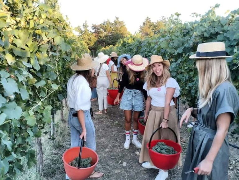 Santa Maria Imbaro: Grape Harvest with Pressing + Picnic among olive trees and vineyards - Is It Worth the Price?