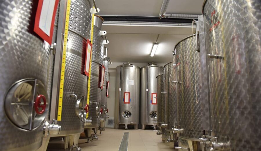 Santa Maria Imbaro: La Vinarte Wine tour - Practical Details and Value