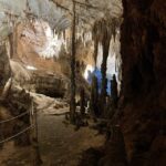 Santa Maria Navarrese: Grotta del Fico and Beaches Boat Trip - An In-Depth Look at the Tour Experience