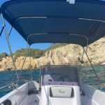 Santa Ponsa: Private Boat Rental with Driving Instructions - Who Would Love This Experience?