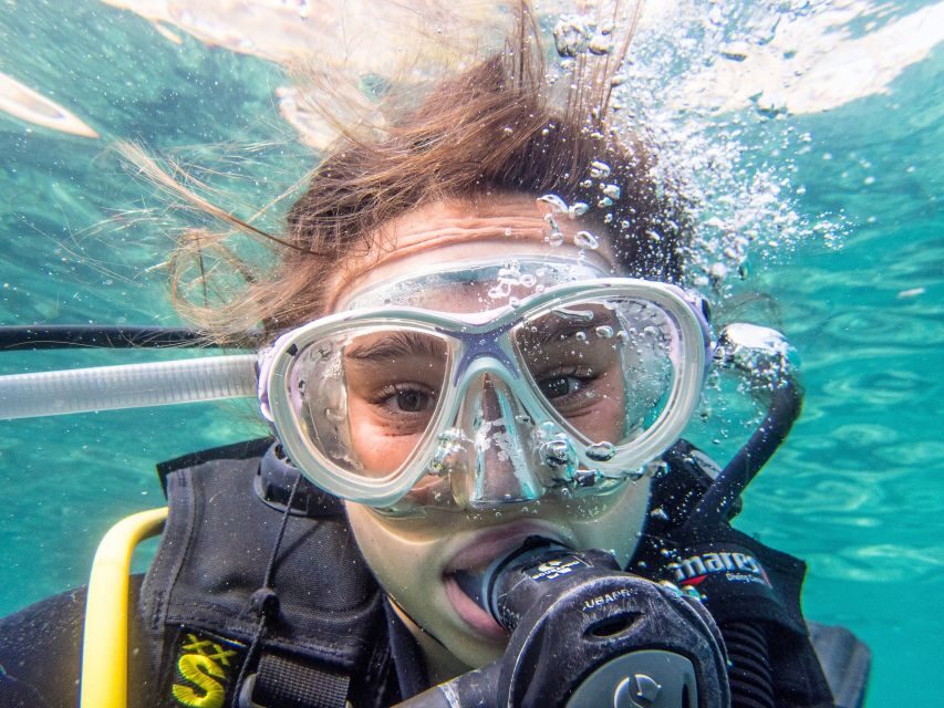 Santa Ponsa: Try Scuba Diving in a Marine Reserve - Itinerary Breakdown
