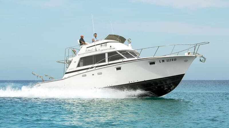 Santa Teresa: Speedboat tour around Lavezzi and Piana Island - Practical Tips for a Smooth Trip