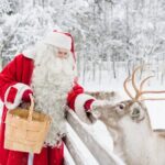 SANTA VILLAGE and the arctic circle - A Tour That Combines Magic and Practicality