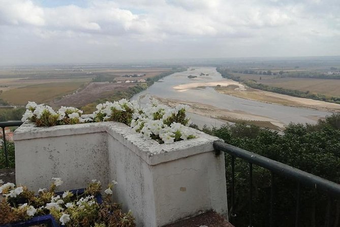 Santarem Sul: Santo Milagre, Pedro Alvares Cabral, Gothic, Portas do Sol, Art - In-Depth Look at the Tour Experience