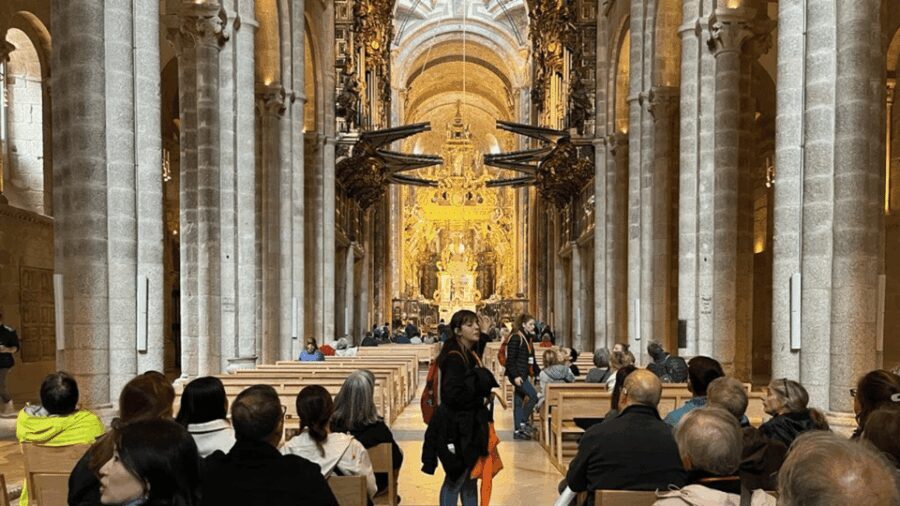 Santiago de Compostela: Cathedral, Museum, and Old Town Tour - Authentic Experiences and Highlights from Reviews
