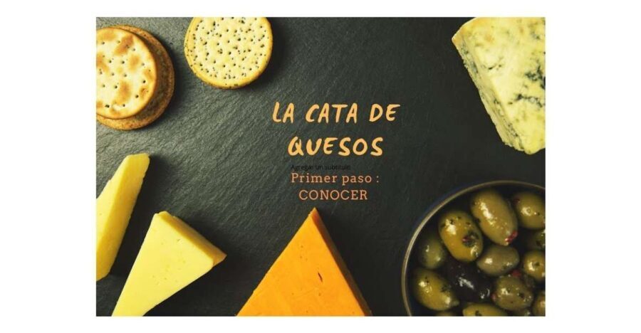 Santiago de Compostela: Cheese and Wine Tasting Experience - The Highlights of the Experience