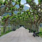 Santoña: Anchovy Factory Tour and Boat Trip - Exploring Santoña: A Practical Overview