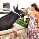 Santorini 4 hours Private Tour : Visit all the hotspots - Transportation and Timing: Why It Matters