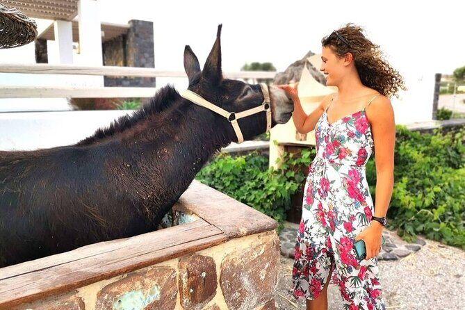 Santorini 4 hours Private Tour : Visit all the hotspots - Transportation and Timing: Why It Matters