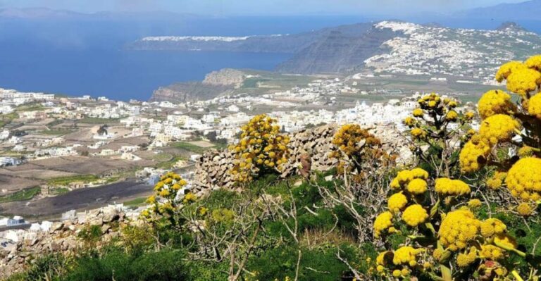 Santorini: 4hr Private Accessible Panoramic Views Tour - FAQ