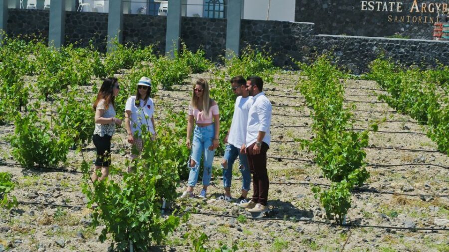 Santorini: Explore Southern Part with Wine Tasting - Discovering the Southern Villages of Santorini