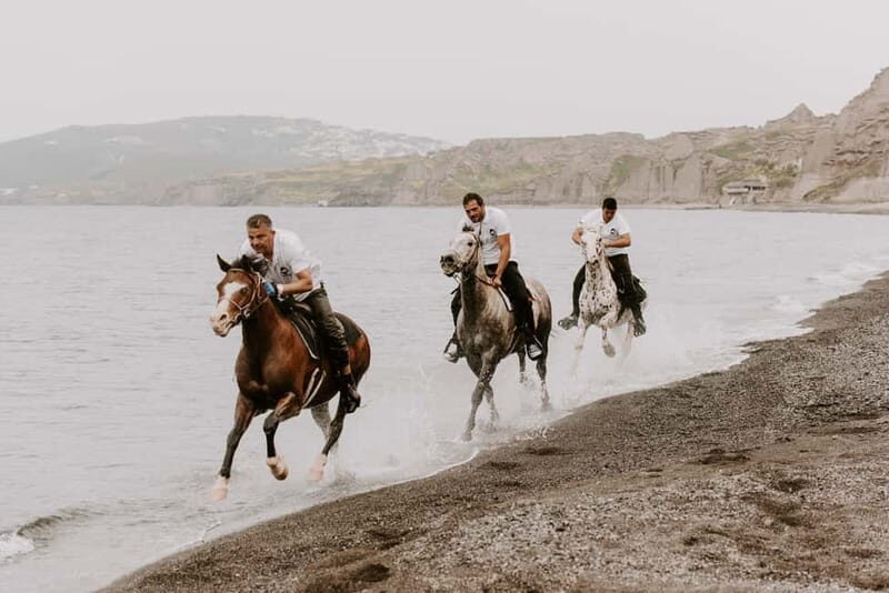 Santorini: Extreme Horse Safari - Exploring Santorini on Horseback: What to Expect