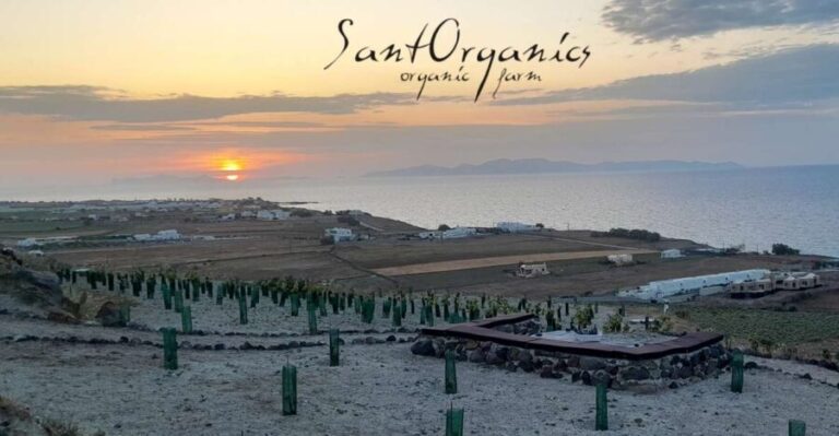 Santorini: Private Agri-Educational Visit to an Organic Farm - Why This Tour Is Worth Considering